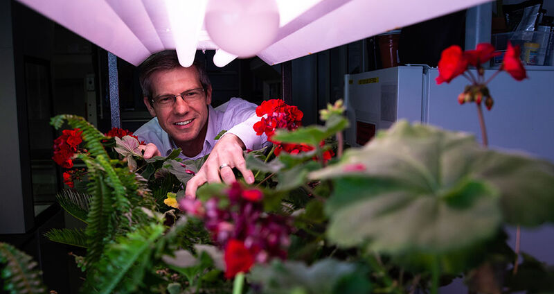 Biology and Society | ASU Foundation