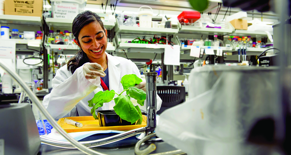 School of Life Sciences | ASU Foundation